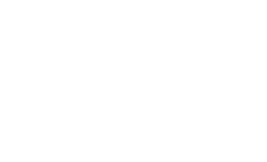 Team – Regency Estate Group